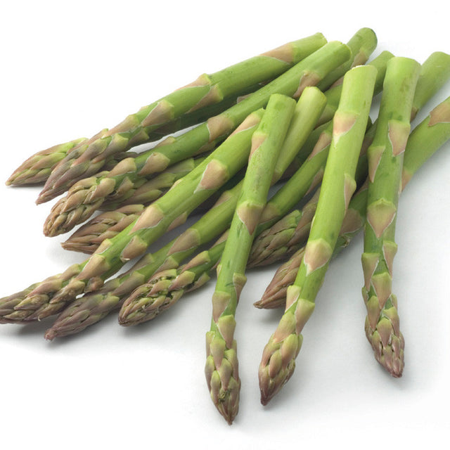 Small berry and fruit plant nursery - Production Lareault